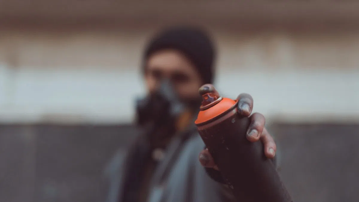 Racial slur spray painted in Carleton Place, police ask for public help ...