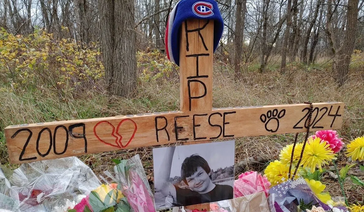 Teen charged with first-degree murder in Perth killing ...