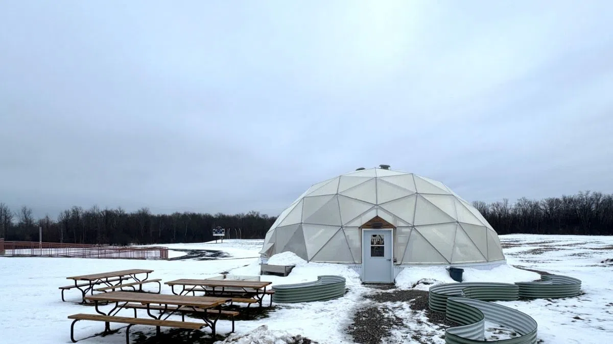 Inside SFDCI’s futuristic dome: Students grow plants and ideas ...