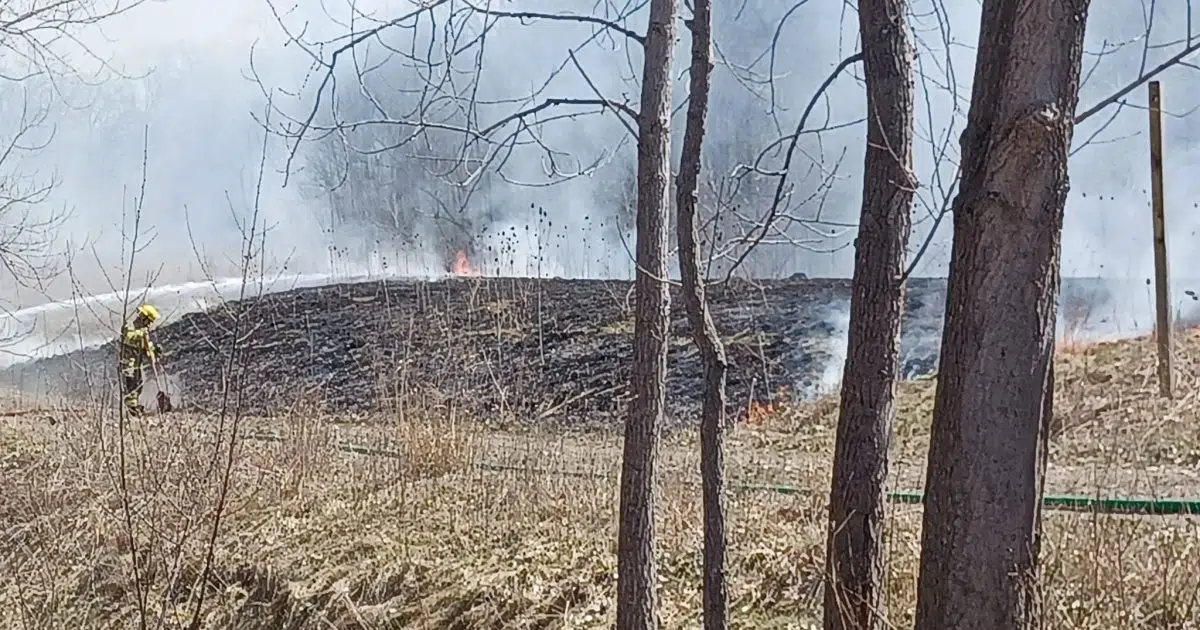 St. Thomas police investigating ravine fire | 94.1 St.ThomasToday.ca