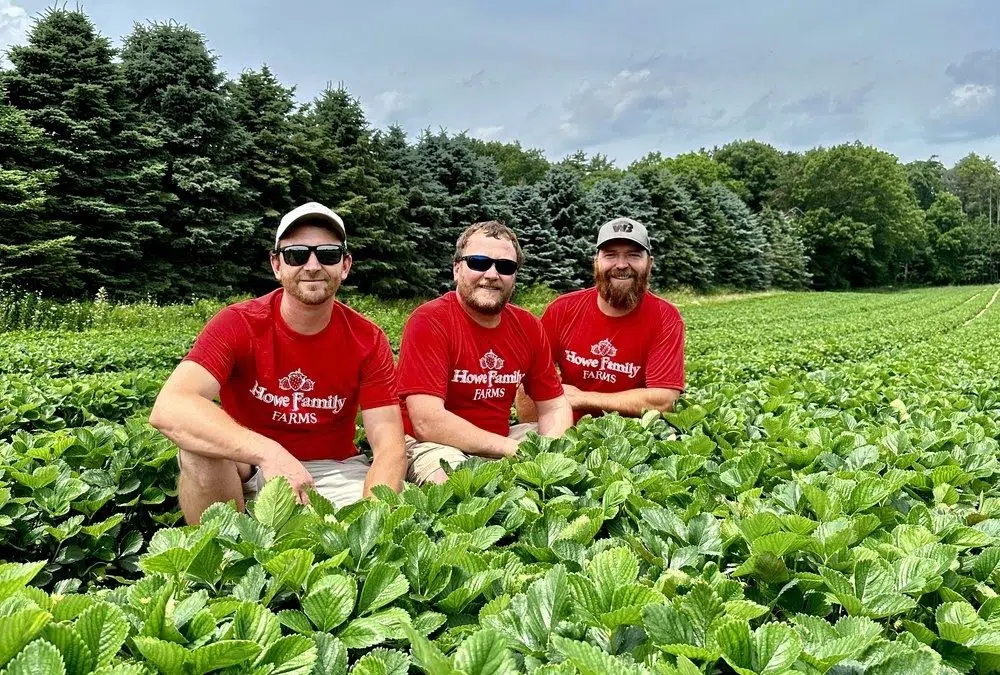 Seeds of Success: Howe Family Farms, where they love flavour and ...