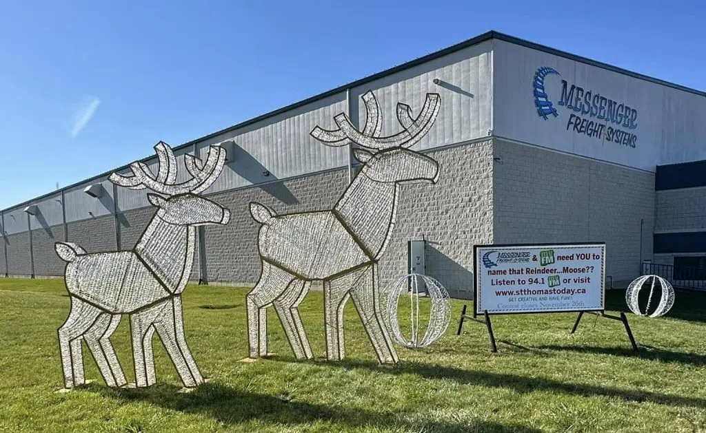 Community Spotlight: What would you name the new reindeer that are ...