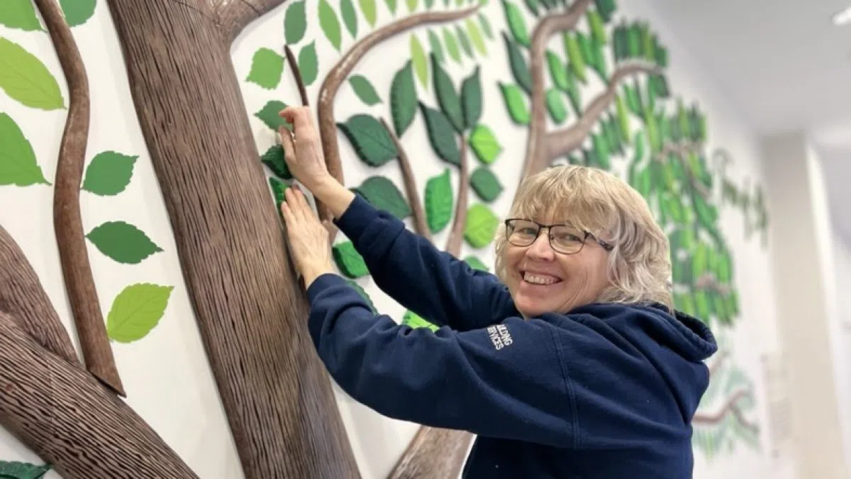 STEGH unveils 28 new donor leaves on ‘Tree of Life’ | 94.1 St ...