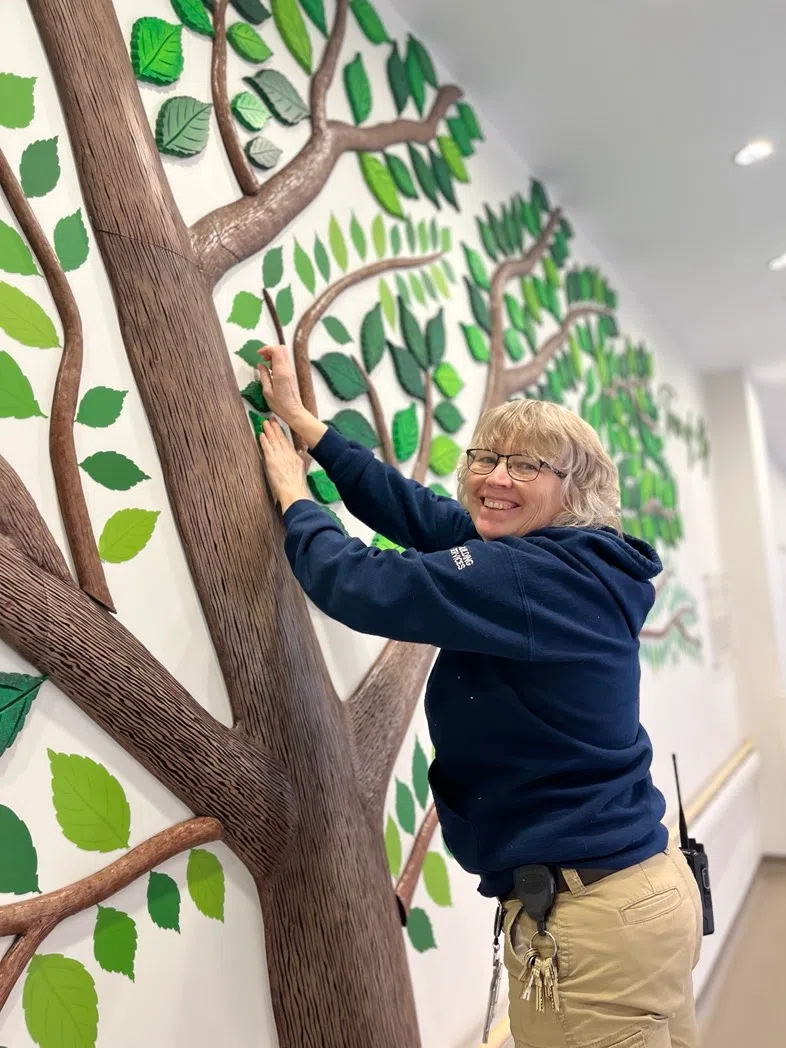 STEGH unveils 28 new donor leaves on ‘Tree of Life’ | 94.1 St ...