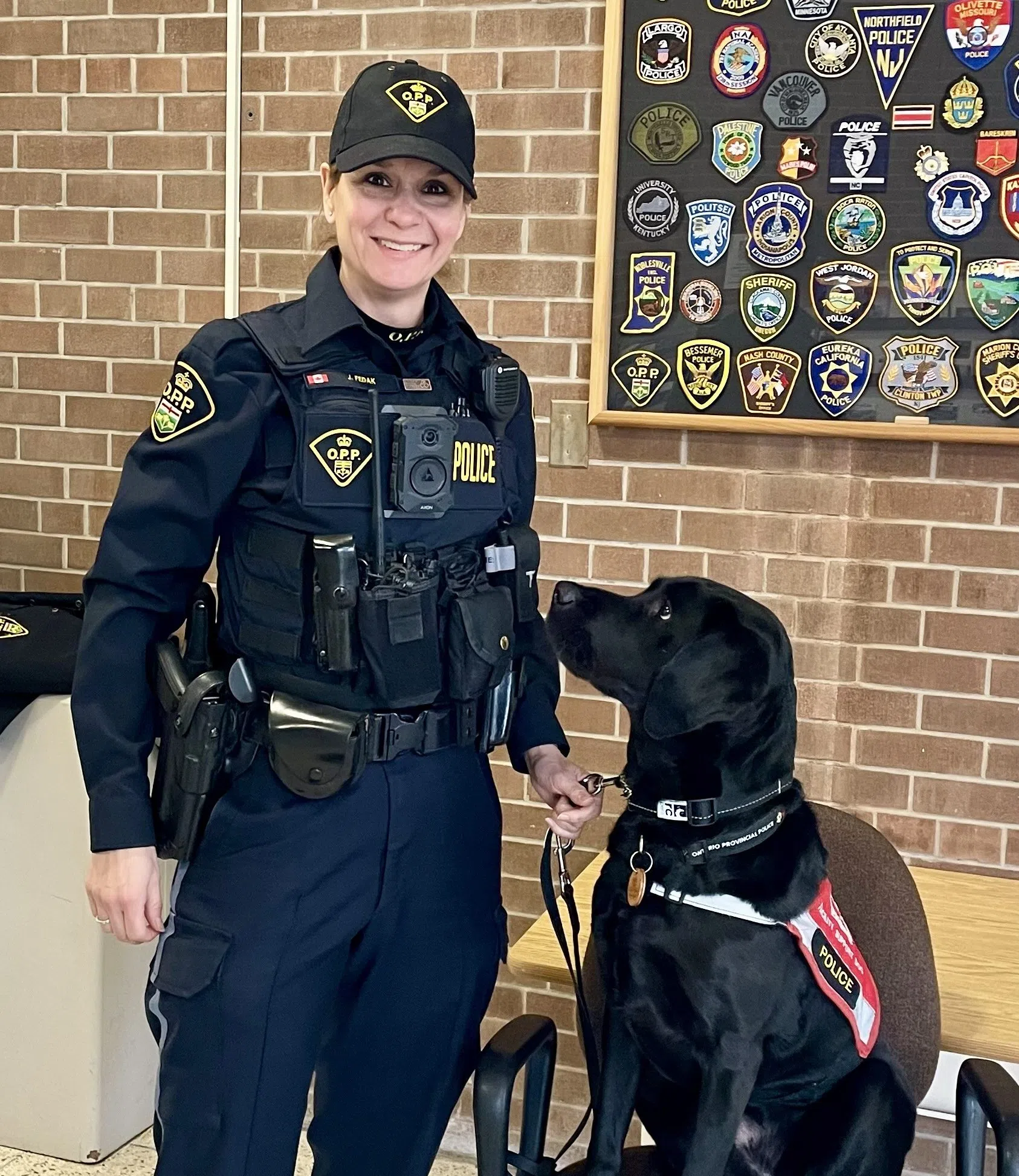 What’s Good in St. Thomas-Elgin? Ranger the Wellness Dog brings comfort ...