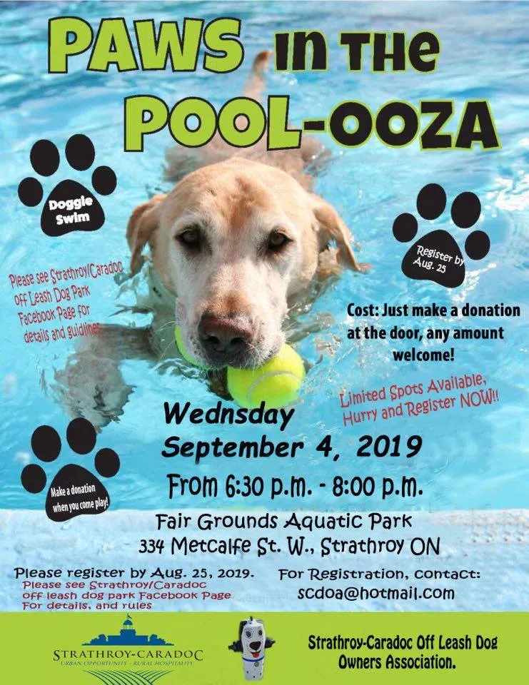 Inaugural Paws In The Pool-ooza Event Tonight | 105.7 Strathroy Today