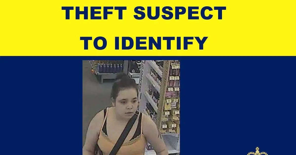 Police looking for Walmart theft suspect | 105.7 Strathroy Today