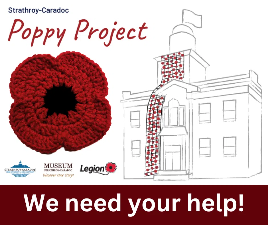 Municipality launches Poppy Project for 2024 Remembrance Day | 105.7 ...