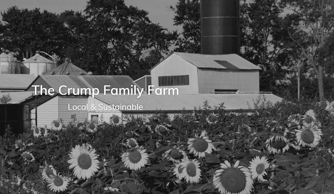 myFM NextGen Farmer feature – Vivian Crump of Crump Family Farm | 105.7 Strathroy Today