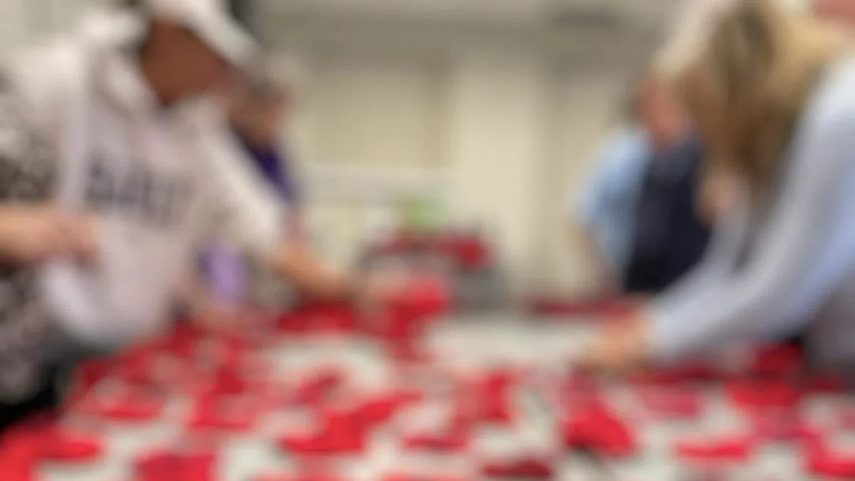 Volunteers needed this week for more poppy placement | 105.7 Strathroy ...