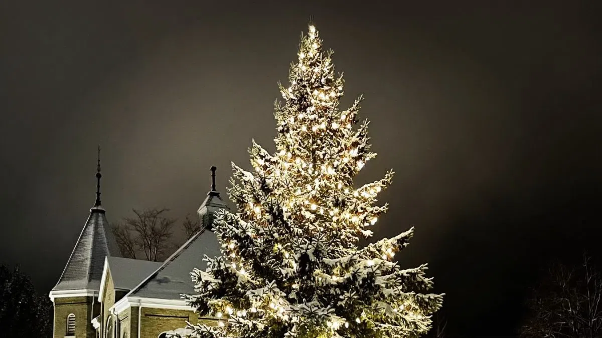 Cherish Tree for CMHA | 105.7 Strathroy Today