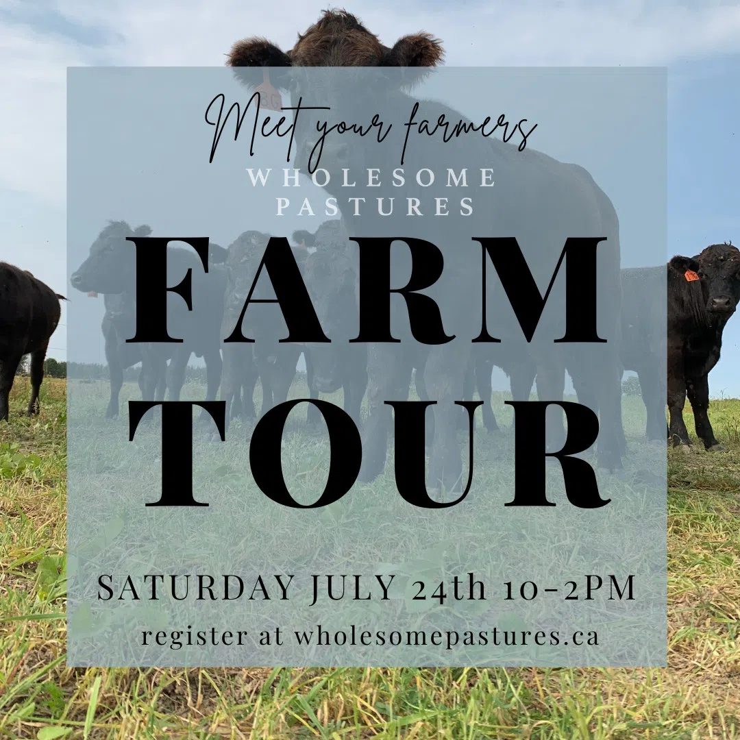 COMMUNITY SPOTLIGHT: Local farm taking people on a tour while ...