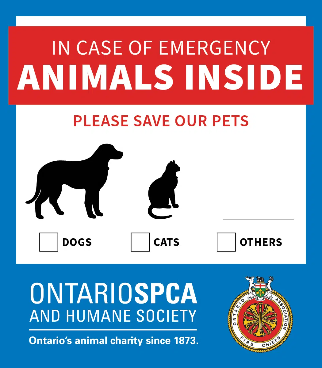 Ontario SPCA Makes Recommendations – Keeping Your Pets Safe in ...