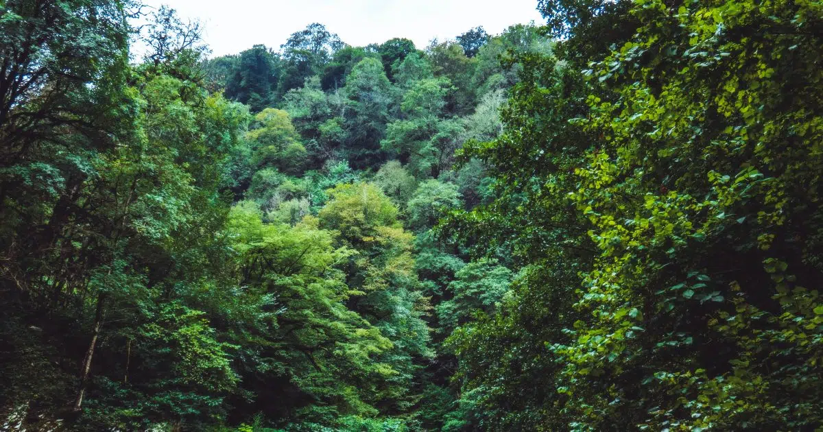 As ABCA issues low water advisory, here’s what you can do to preserve ...