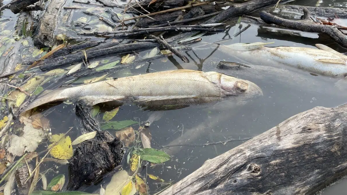 Lack of Government Transparency at the Centre of Discussion Following ...