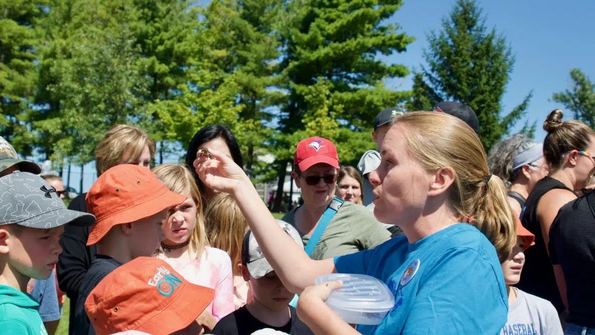 What’s good in Exeter Grand Bend? Annual Turtle Release Returns to ...
