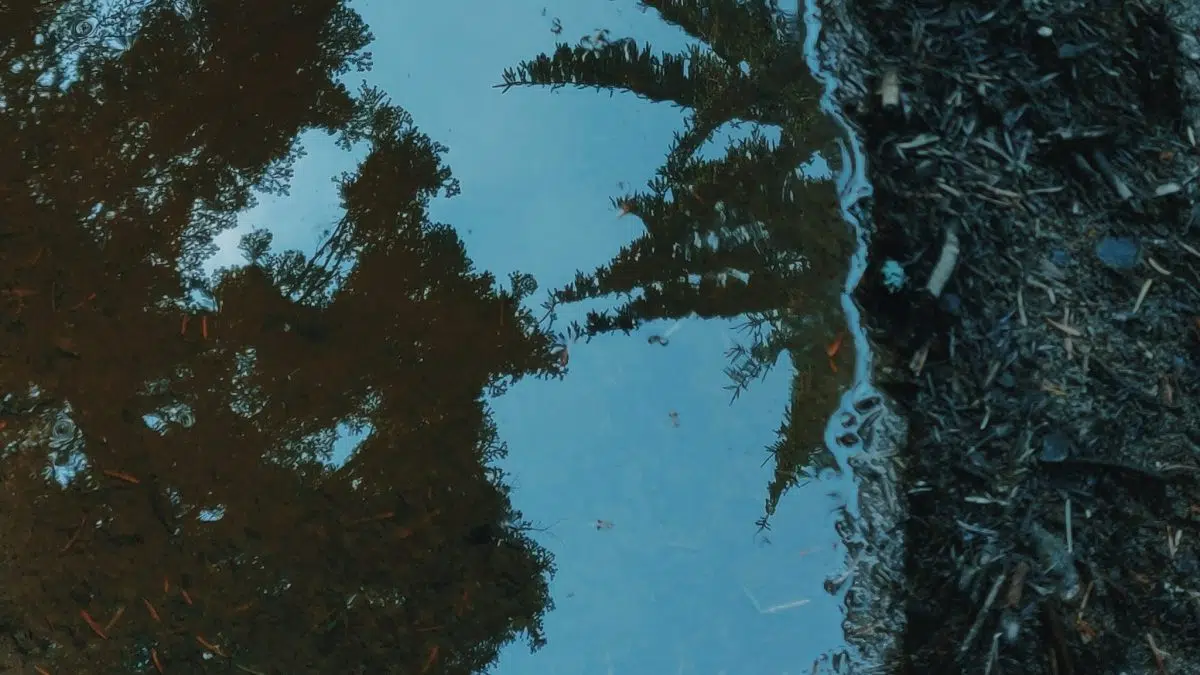 Localized Heavy Rainfall Raises Public Health Concerns | 90.5 Exeter Today