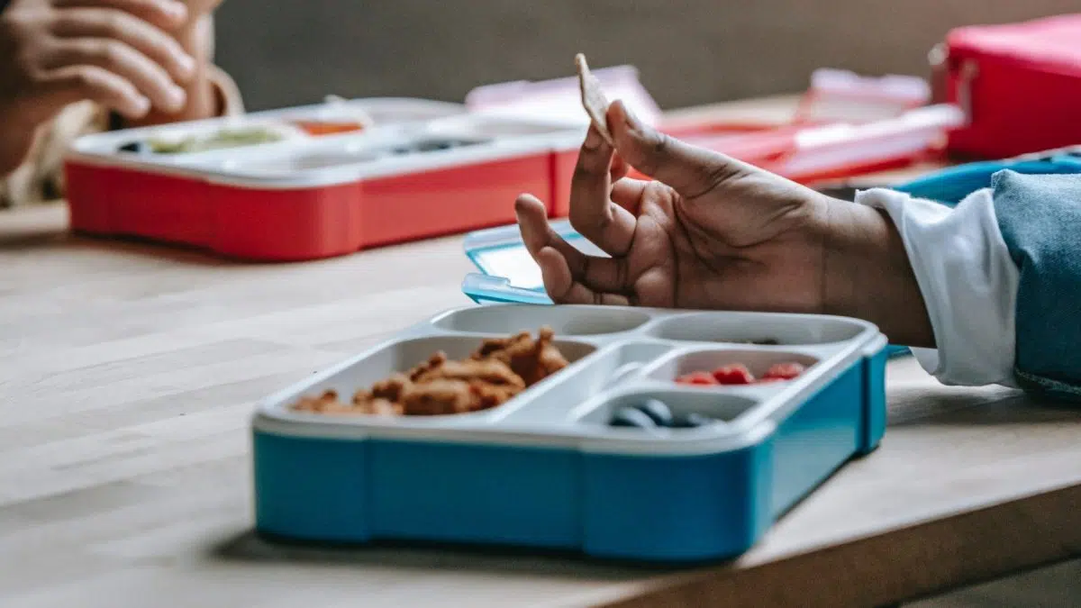 School Lunches : Tips for parents on packing nutritious meals kids will ...