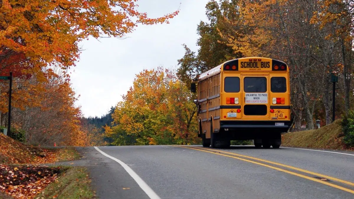 Are You Taking Safety Seriously This National School Bus Safety Week ...