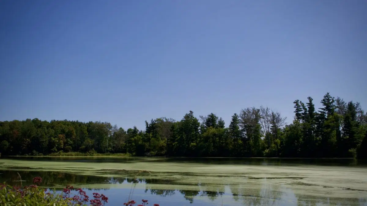 Trail and Access Closures Hit Four Local Conservation Areas for ...