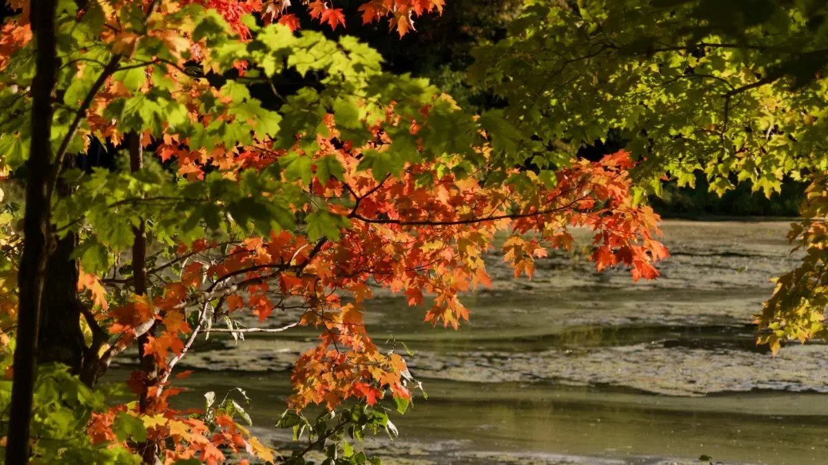 Record-Breaking September Temperatures Sound Climate Alarm Bells | 90.5 ...