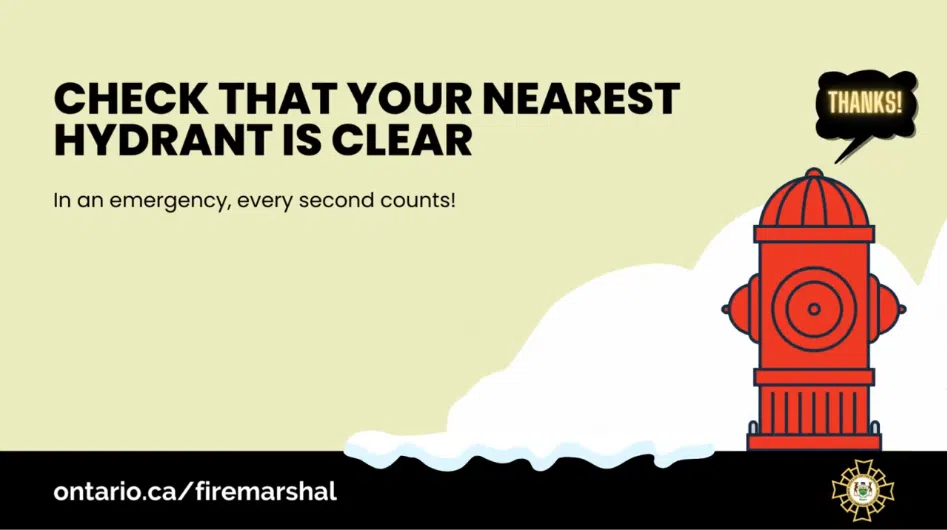 Consider shoveling the fire hydrant on your street in the coming snow ...