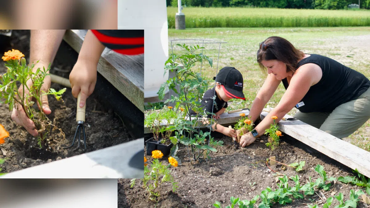 Exeter community garden program kicks off with focus on healthy eating ...