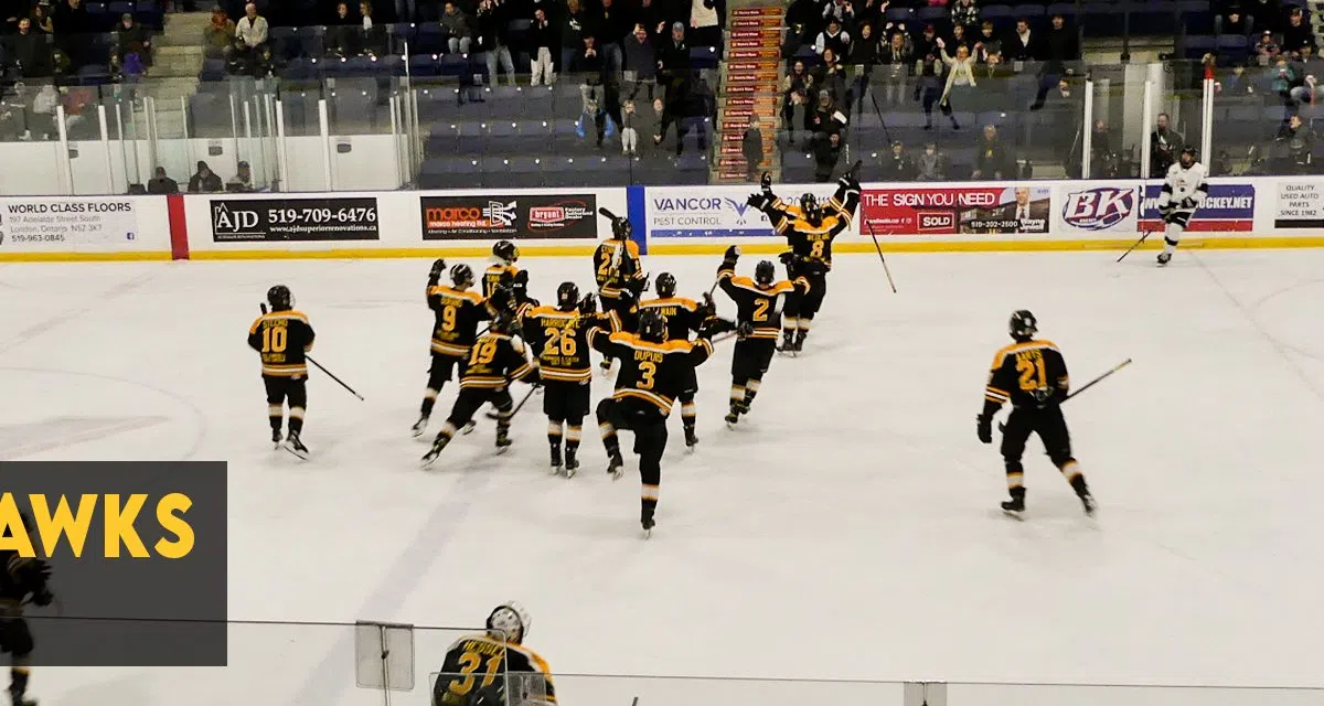 Exeter Hawks Advance to Round 2 of Playoffs Against Port Stanley | 90.5 ...