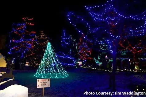 Community gathers to witness Kay Cee Gardens lit up for Christmas in ...