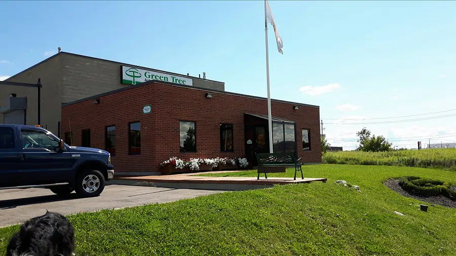 RLB Small Business Month: Green Tree Auto Care | FM101 Orangeville Today