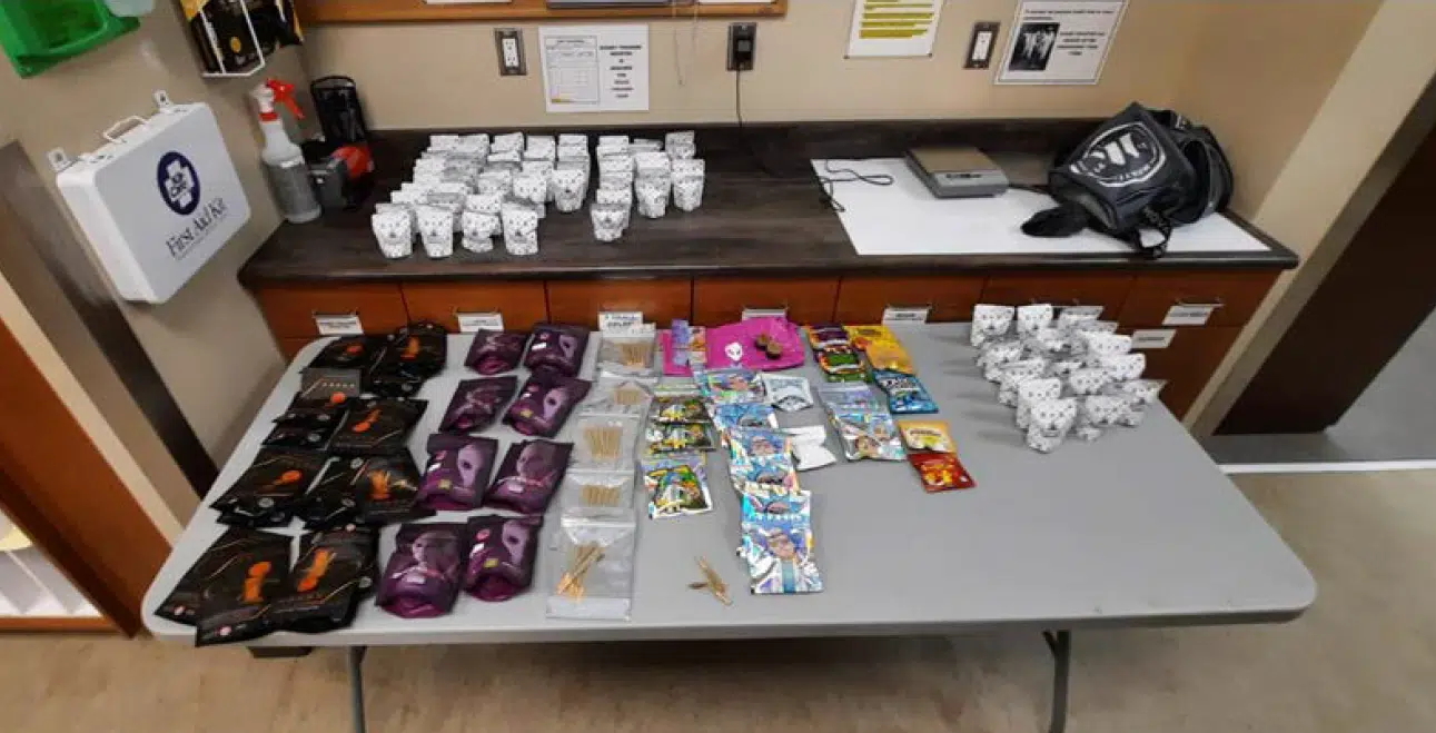 Driver veers into oncoming traffic on Highway 410 to avoid RIDE program ...