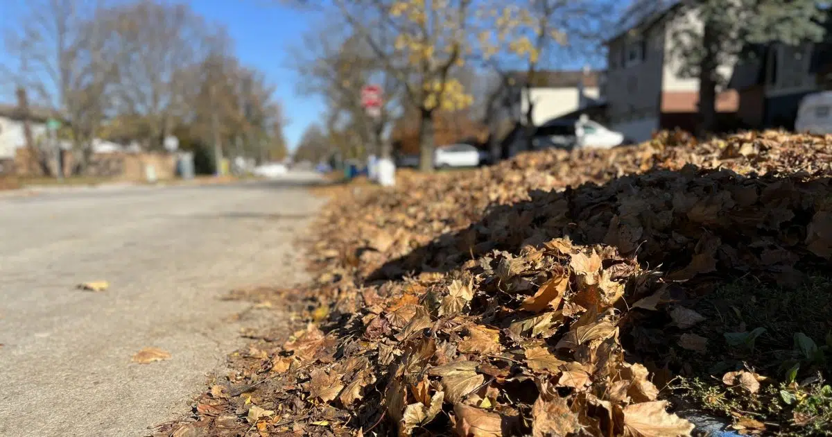 Loose Leaf Collection Begins This Week | FM101 Orangeville Today