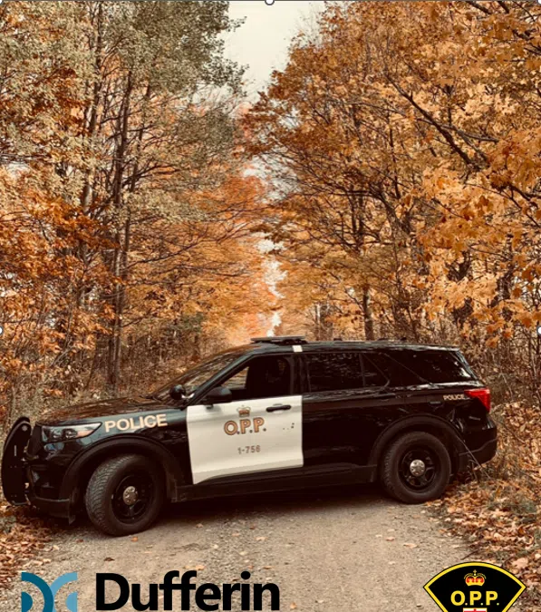 Dufferin OPP requesting help in identifying persons of interest in ...