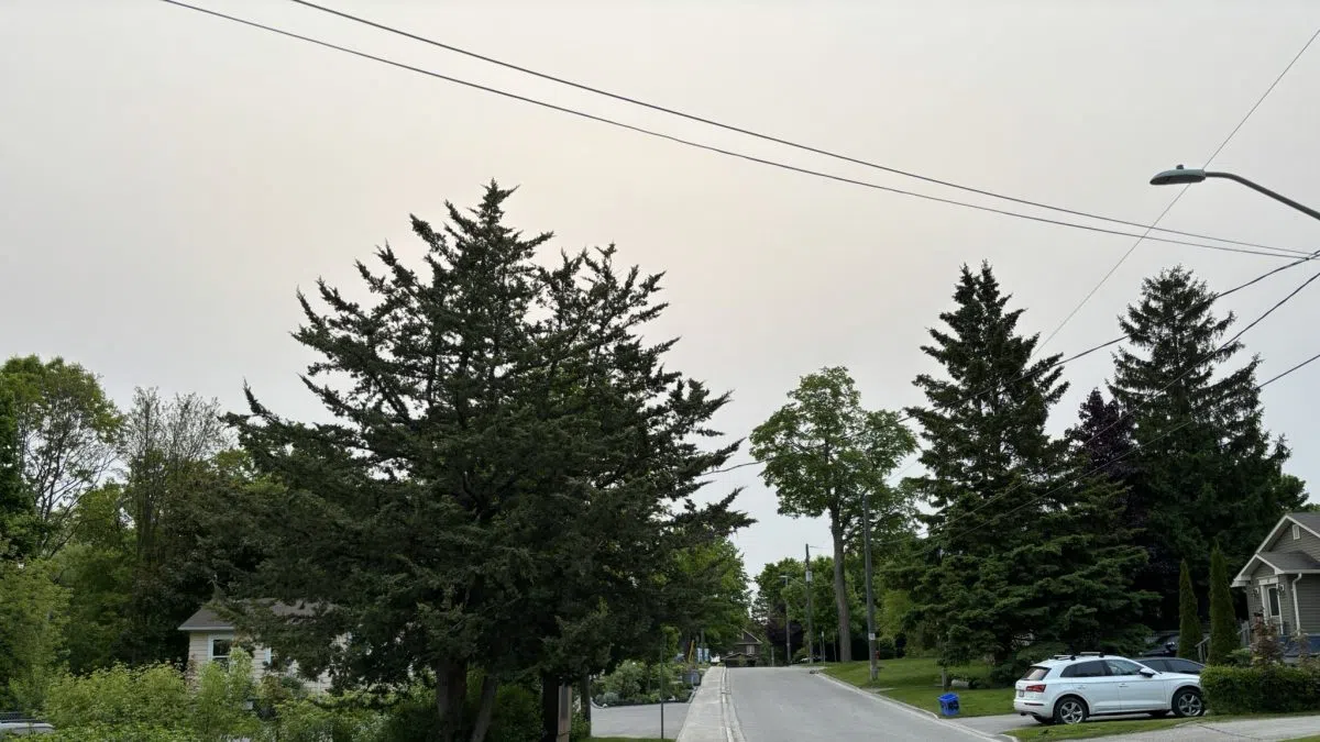 Orangeville forecast for Tuesday, June 3rd | FM101 Orangeville Today
