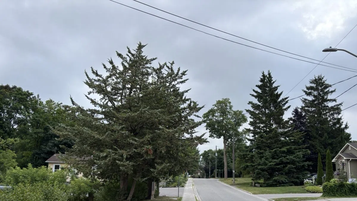 Orangeville forecast for Thursday, July 17th | FM101 Orangeville Today