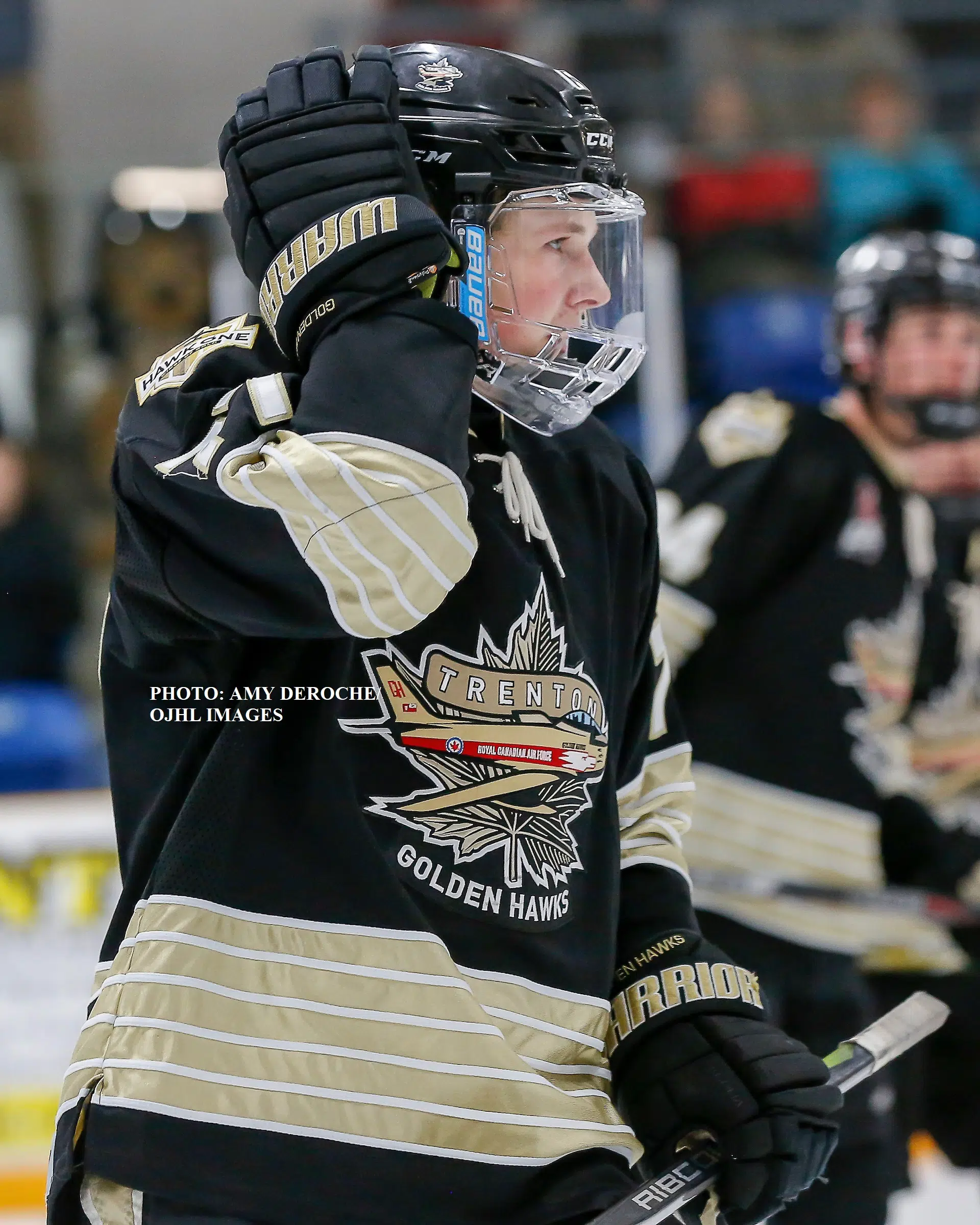 Former Golden Hawks player expected to be drafted to NHL | Brighton ...