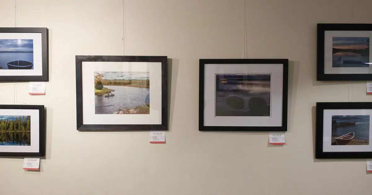 COMMUNITY SPOTLIGHT: Spirit of the Hills Update Their Art Exhibits ...