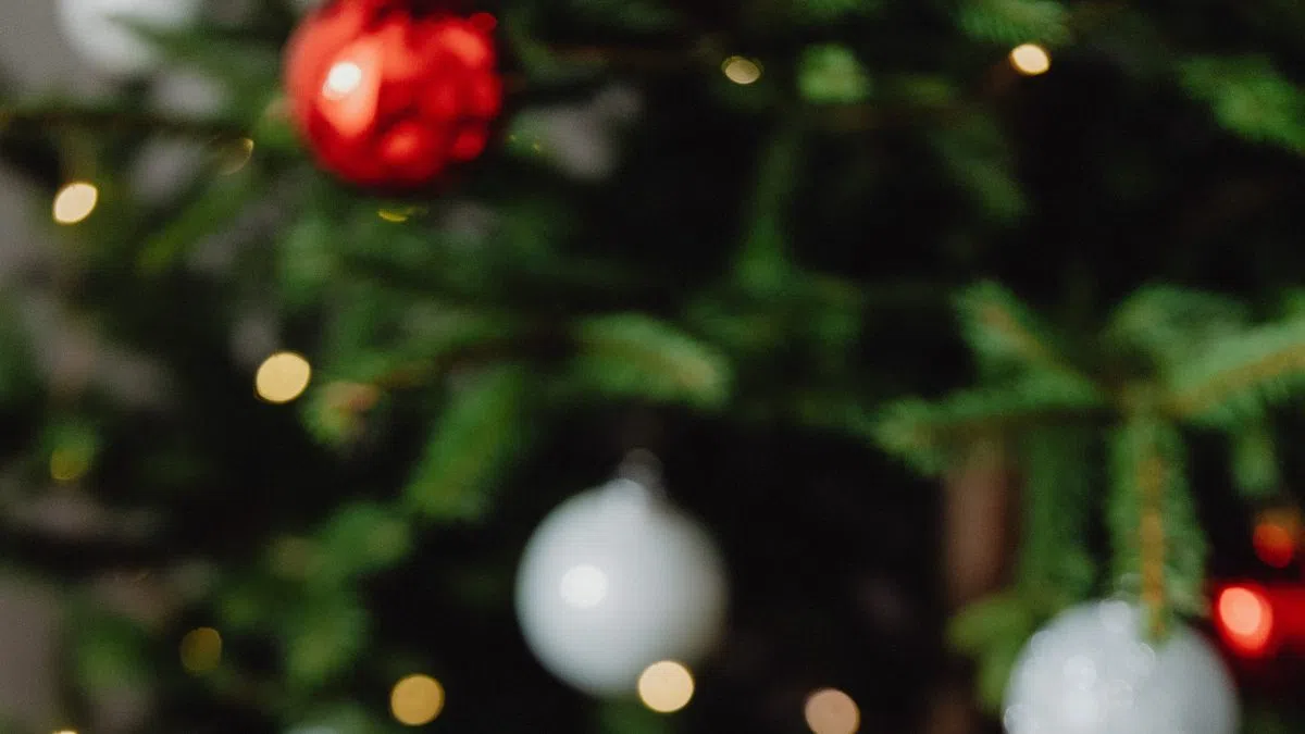 COMMUNITY SPOTLIGHT: 32nd Annual Angel Tree is now up in Brighton ...