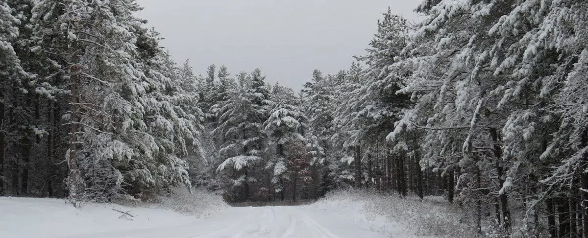 COMMUNITY SPOTLIGHT: 47 kilometres of trails await snowmobilers in ...
