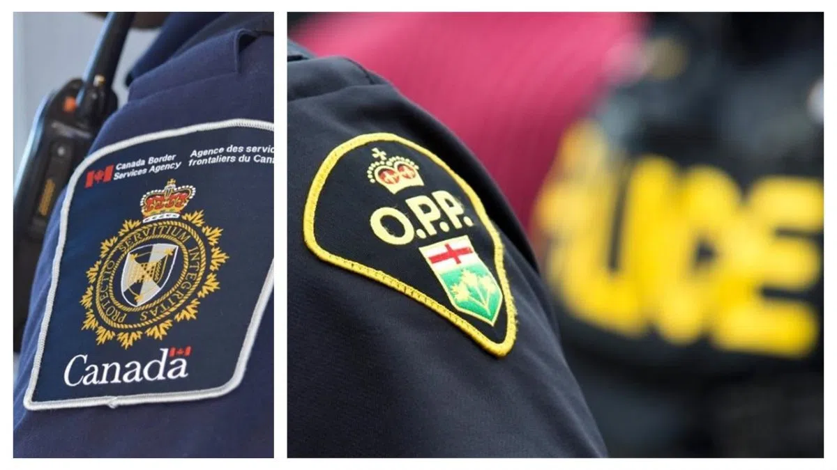Canada Border Services Agency helps OPP with arrest after sexual ...