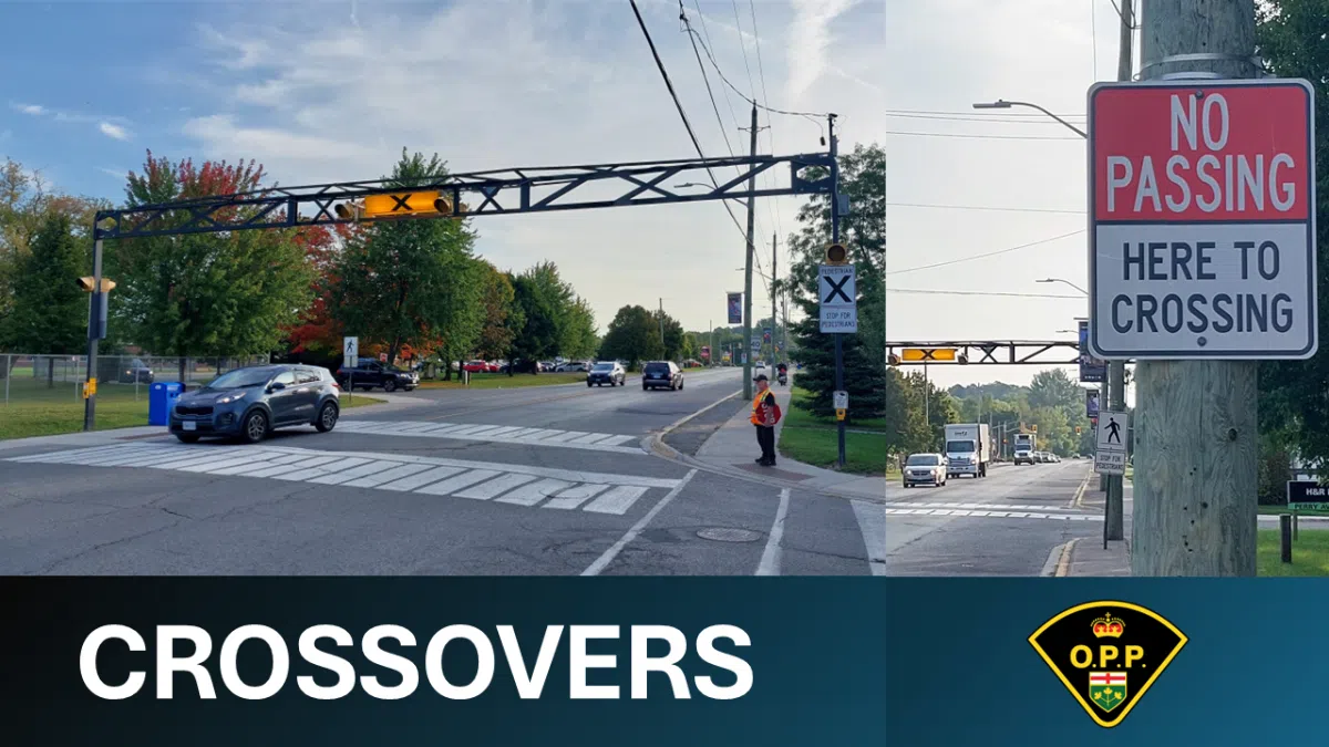 Northumberland OPP reminds Brighton motorists to obey pedestrian ...