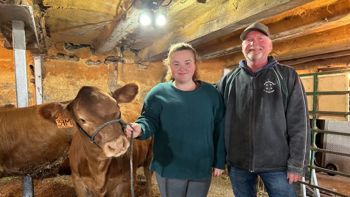 Seeds of Success: Beef Farmer Dan Darling | Brighton Today.ca