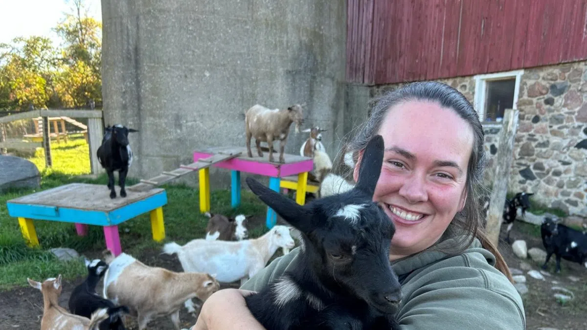 Seeds of Success: Haute Goat Farm | Brighton Today.ca