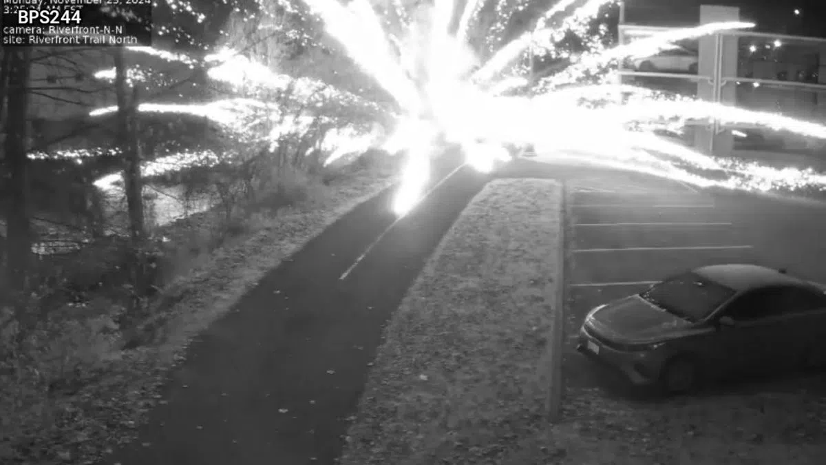 PVC piping, parts of fireworks found: Belleville police probing ...