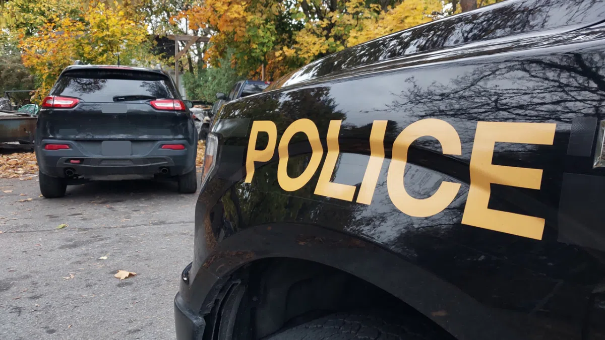 OPP recover stolen vehicle, charge driver with suspension violations ...