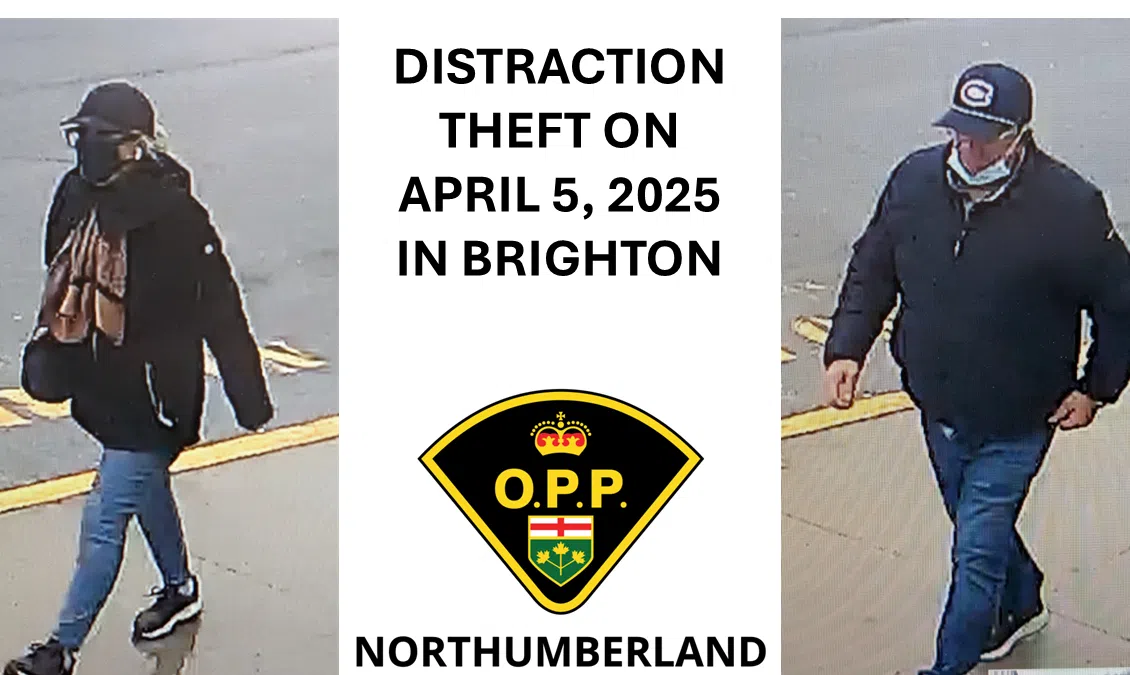 OPP call on public for help after alleged distraction theft in Brighton ...