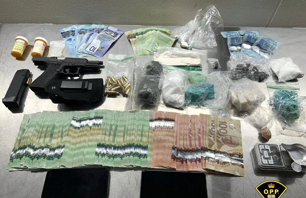 Traffic stop in Belleville, raid in Trenton leads to $100K worth of ...