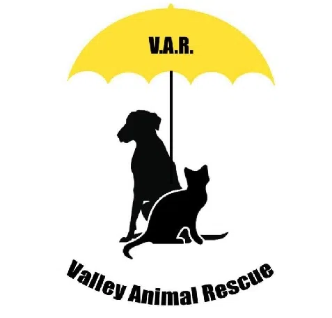 In a giving mood? Valley Animal Rescue reaching out for help this ...