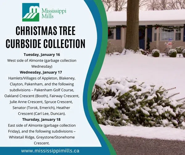 Curbside Tree Collection Continues in Mississippi Mills | Oldies 107.7