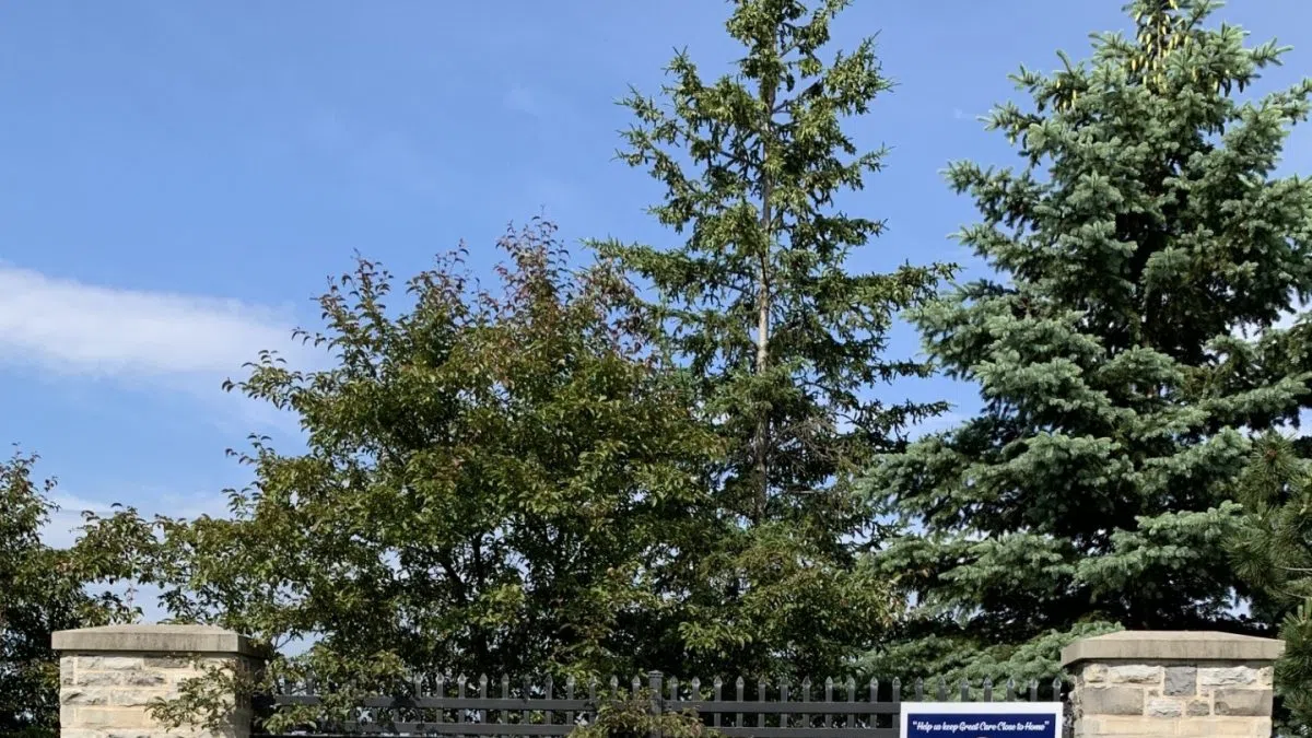 COMMUNITY SPOTLIGHT: Local CT Scanner Campaign Objective Reaches 80% ...